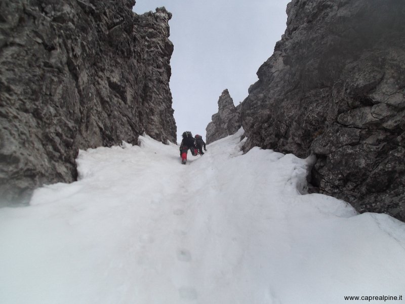 Canale Pagani – Grignetta | Gruppo Capre Alpine